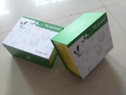 Human Heat Shock Protein 70,HSP-70 ELISA Kit t