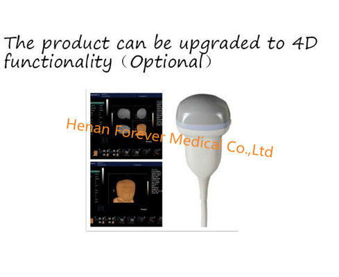 Diagnostic System Full Digital Color Doppler Ultrasound Scanner (YJ-U60)