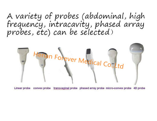 Medical Diagnosis Equipment 3D/4D Color Doppler Ultrasound