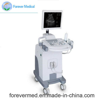 Yj-U370t Full-Digital Trolley Ultrasound Diagnostic Scanner