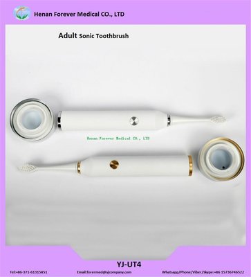 Adult Electric Toothbrush with Brush Head Holder Sonic Toothbrush
