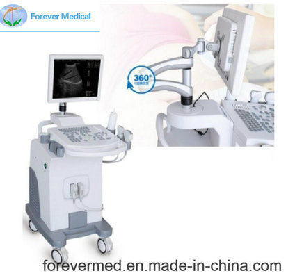 SVGA Non-Interlaced High Resolution Ultrasound System