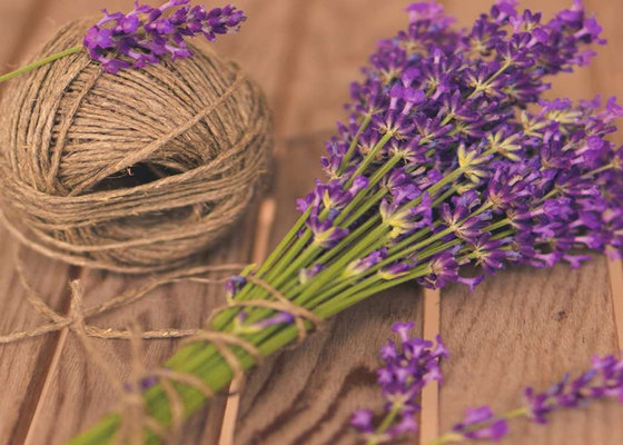 Transparent Lavender Long Lasting Aromatherapy Essential Oils