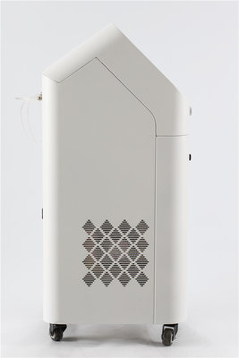 Facial Mask Oxygen Beauty Machine High Purity For Skin Whitening / Rejuvenation