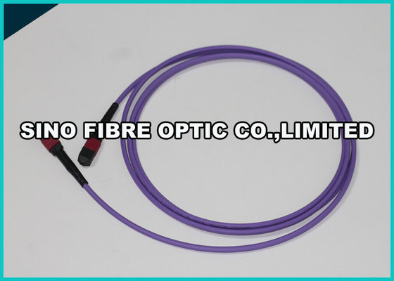 72F Violet MPO - MPO Fiber Optic Cable OM4 MT Ferrule 100Gig Data Transfer