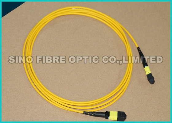 Stainless Steel Pinned Fiber Optic MTP - MTP Trunk Cable 12 Strands 9 Micron