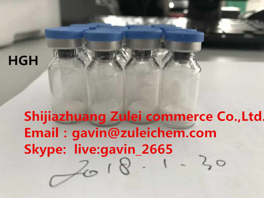 HGH  hgh Human Growth Hormone   HGH  hgh Human Growth Hormone  HGH  hgh Human Growth Hormone  HGH  hgh Human Growth Horm